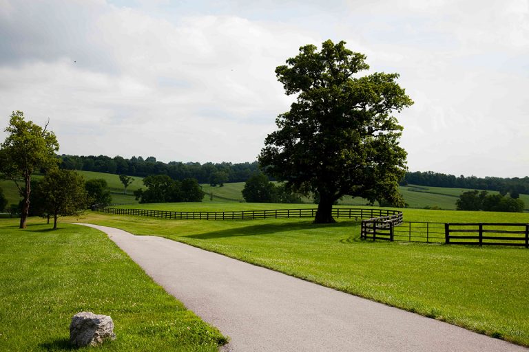 PHOTOS – Overbrook Farm