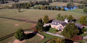 PHOTOS – Overbrook Farm